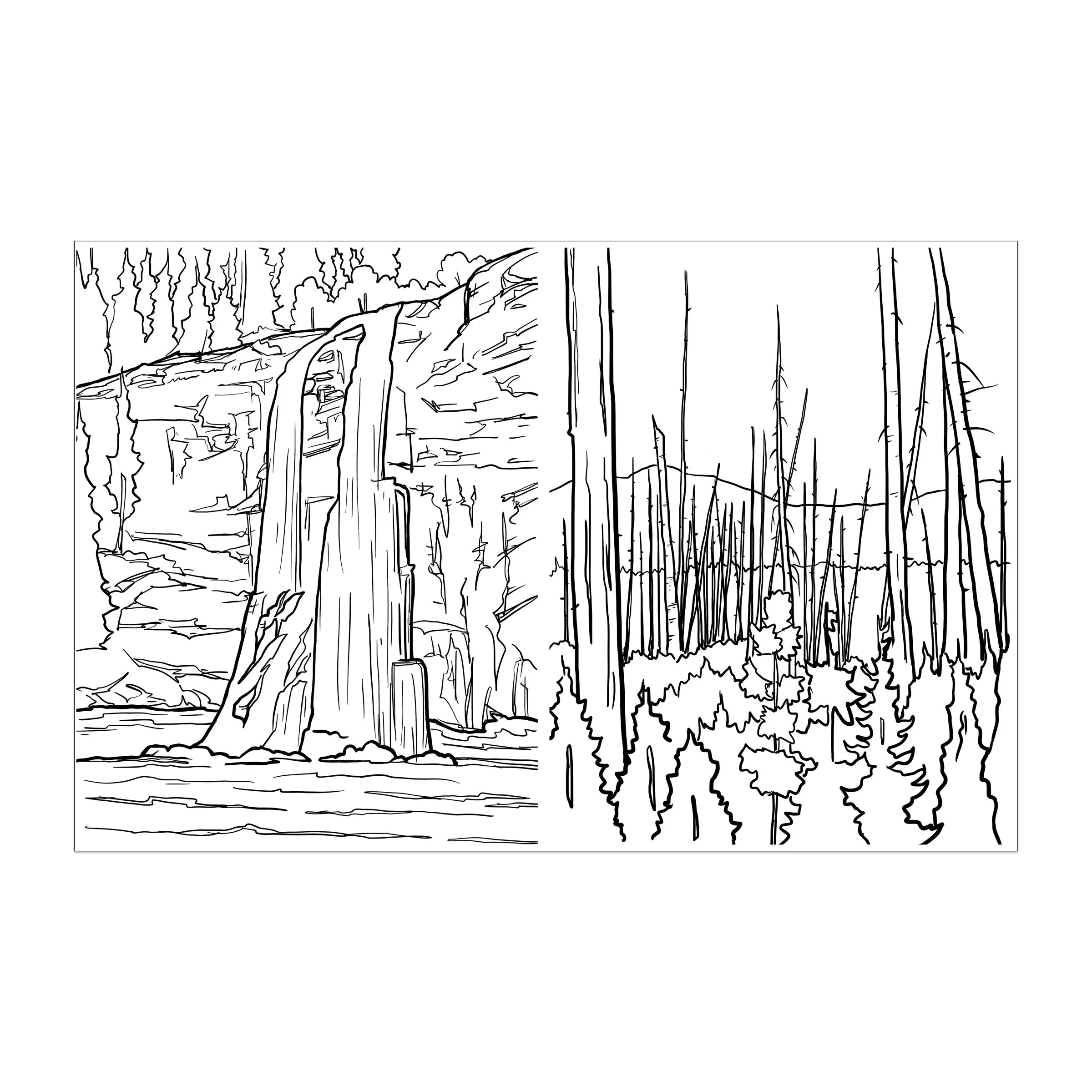 Glacier National Park Coloring Book — CORVIDAE drawings & designs