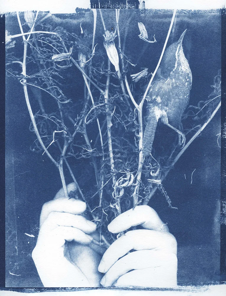 Allison Blair: May 2019 — Associated Artists of Pittsburgh