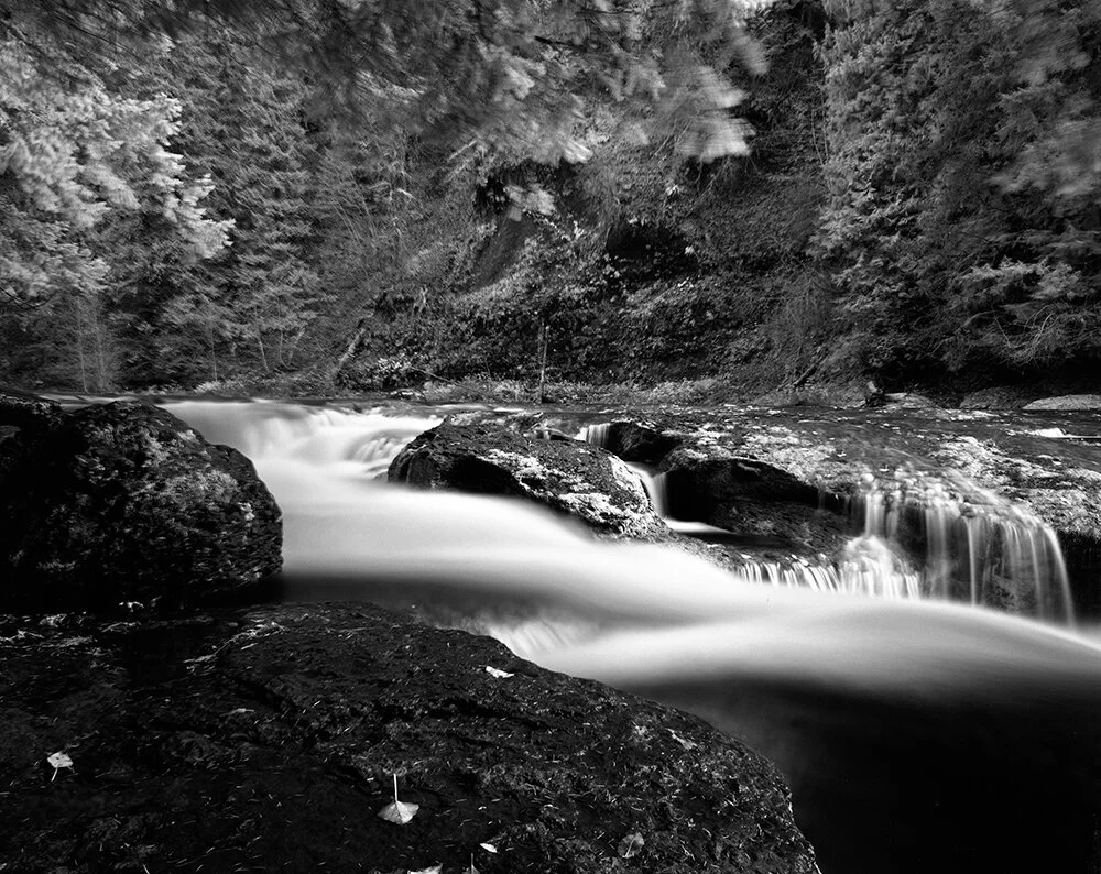 Film Friday Rollei Infrared Film Review with sample photos — The Codex
