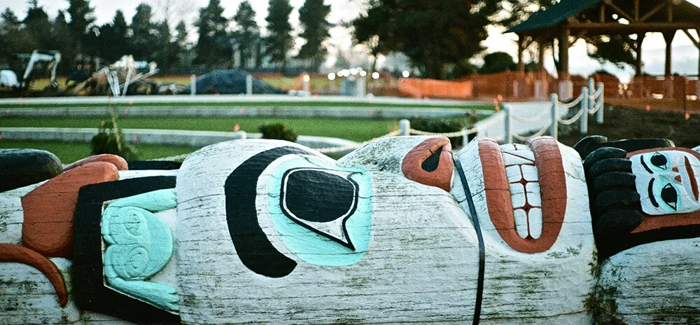 Film Friday Kodak Portra 800 Film Review with sample photos — The Codex