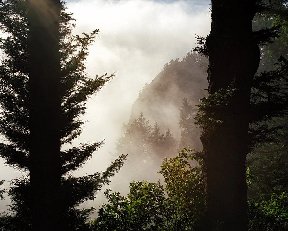 Film Friday Kodak Portra 400 Film Review with Sample Photos — The Codex