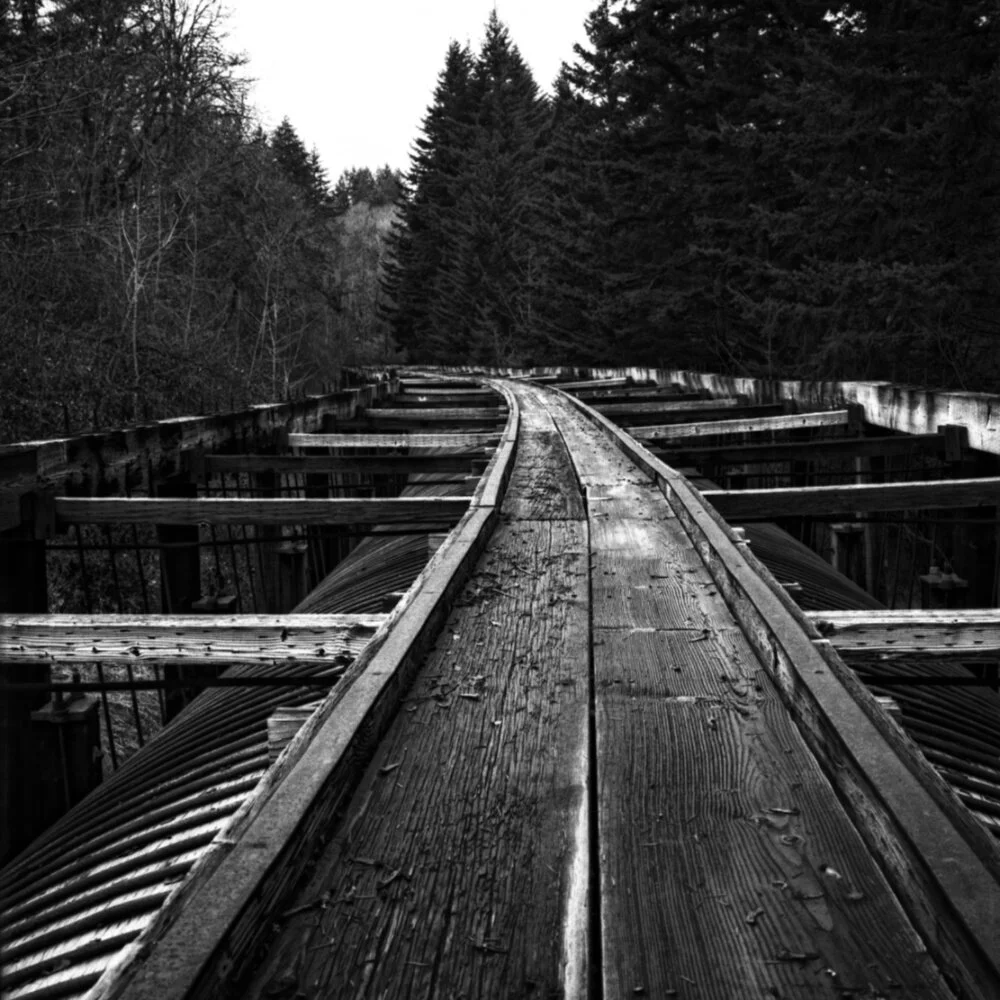 Film Friday Ilford Pan F+ Film Review with Sample Photos — The Codex