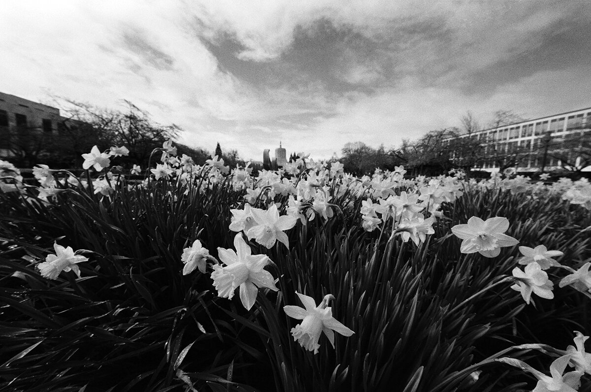 Film Friday Fomapan 200 Film Review with Sample Photos — The Codex