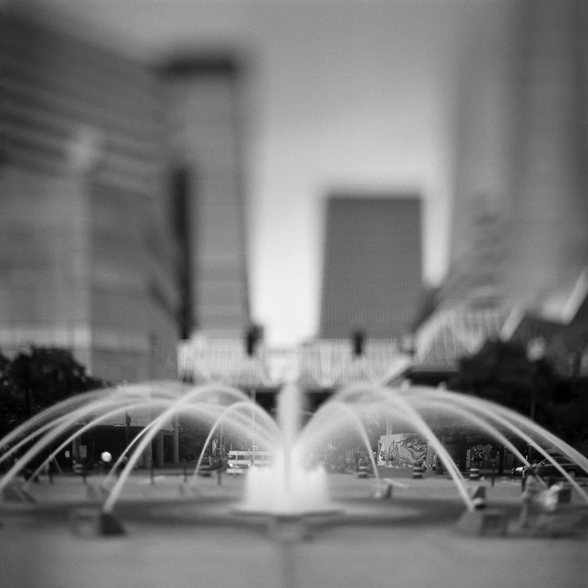 Film Friday - July 23rd, 2021. Rollei Ortho 25 Plus — The Codex