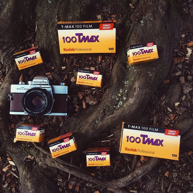 A Film Friday review of Kodak TMax 100 b&w film with sample photos ...