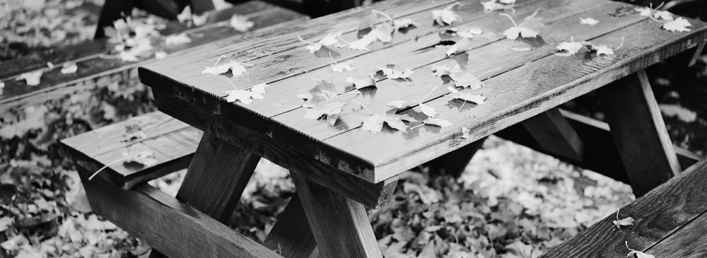 Hasselblad XPan 45mm vs 90mm Lens Comparison — The Codex