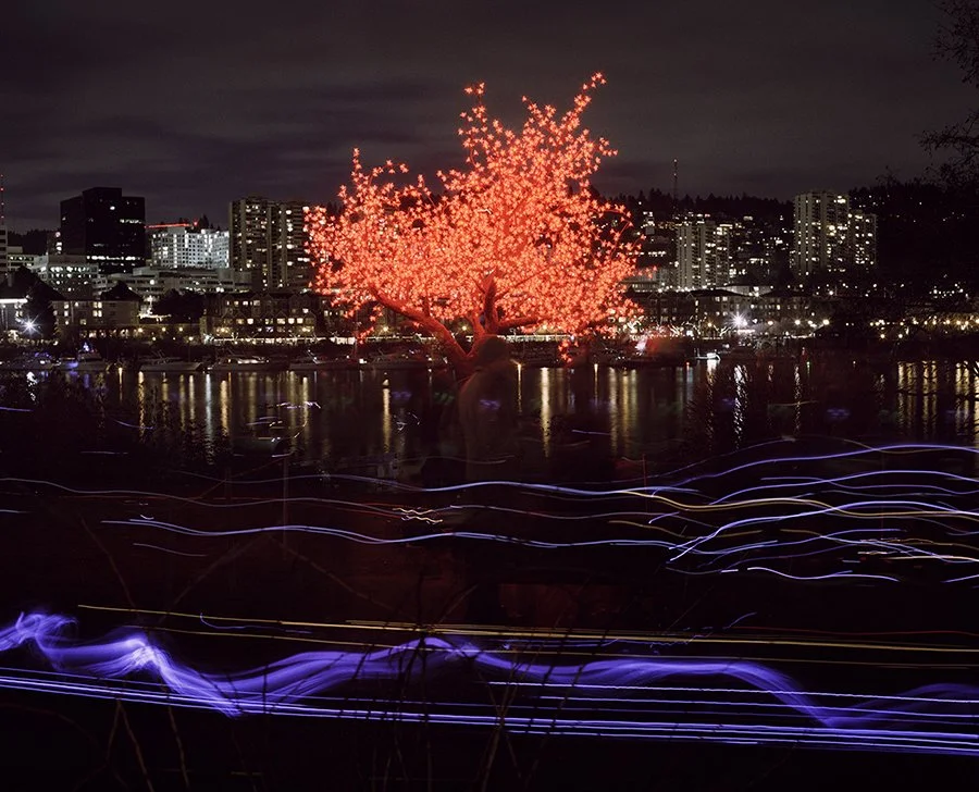 Film Friday Lomography Lomochrome Metropolis Film Review with Sample ...