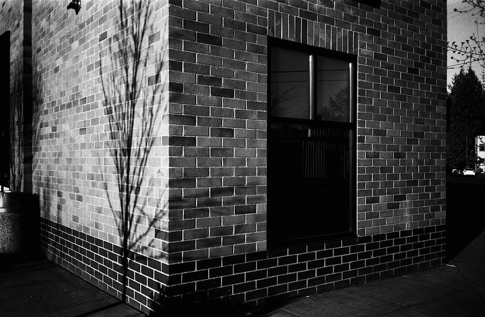 Film Friday Rollei Retro 400S Film Review with Sample Photos — The Codex