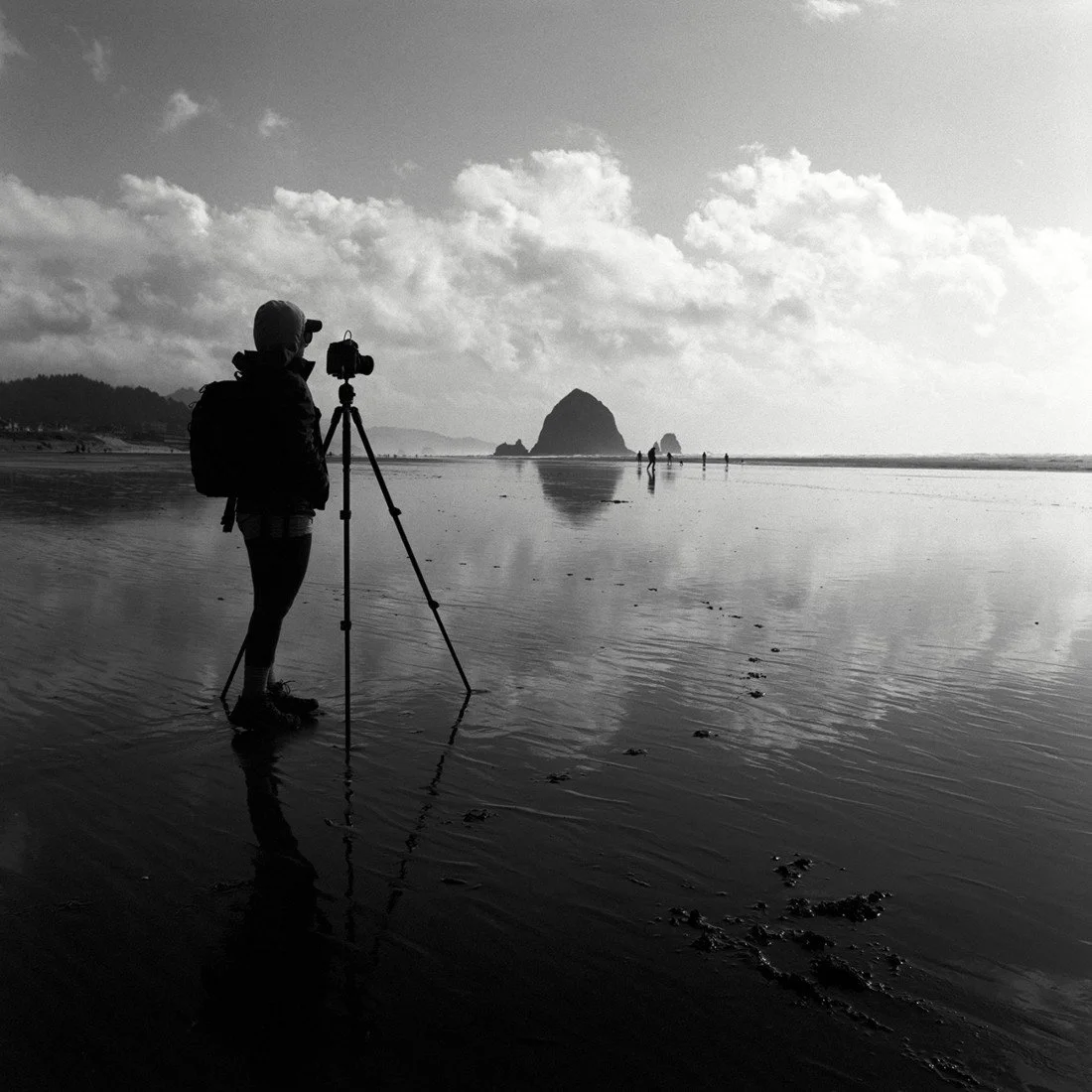 Film Friday - September 29th, 2023. Rollei Retro 400S — The Codex