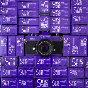 Film Review of Cinestill 400D with sample photos — The Codex