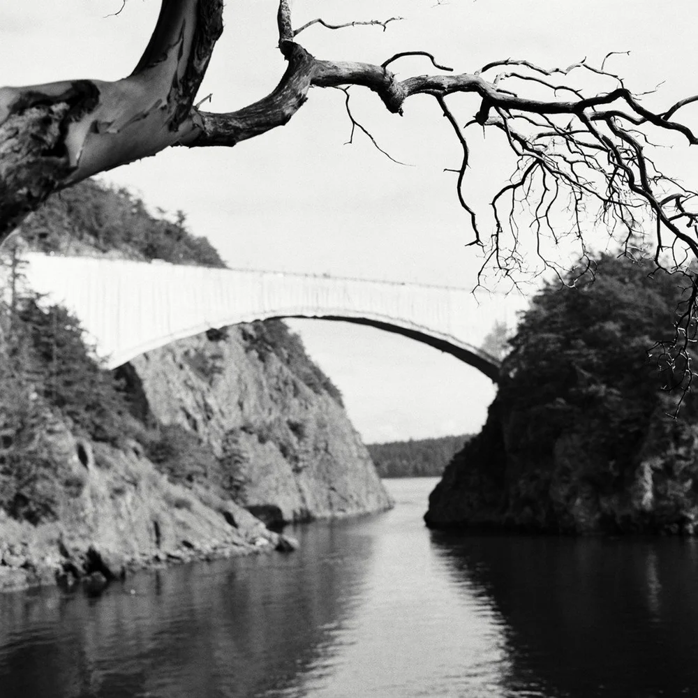 Film Friday Rollei Retro 400S Film Review with Sample Photos — The Codex