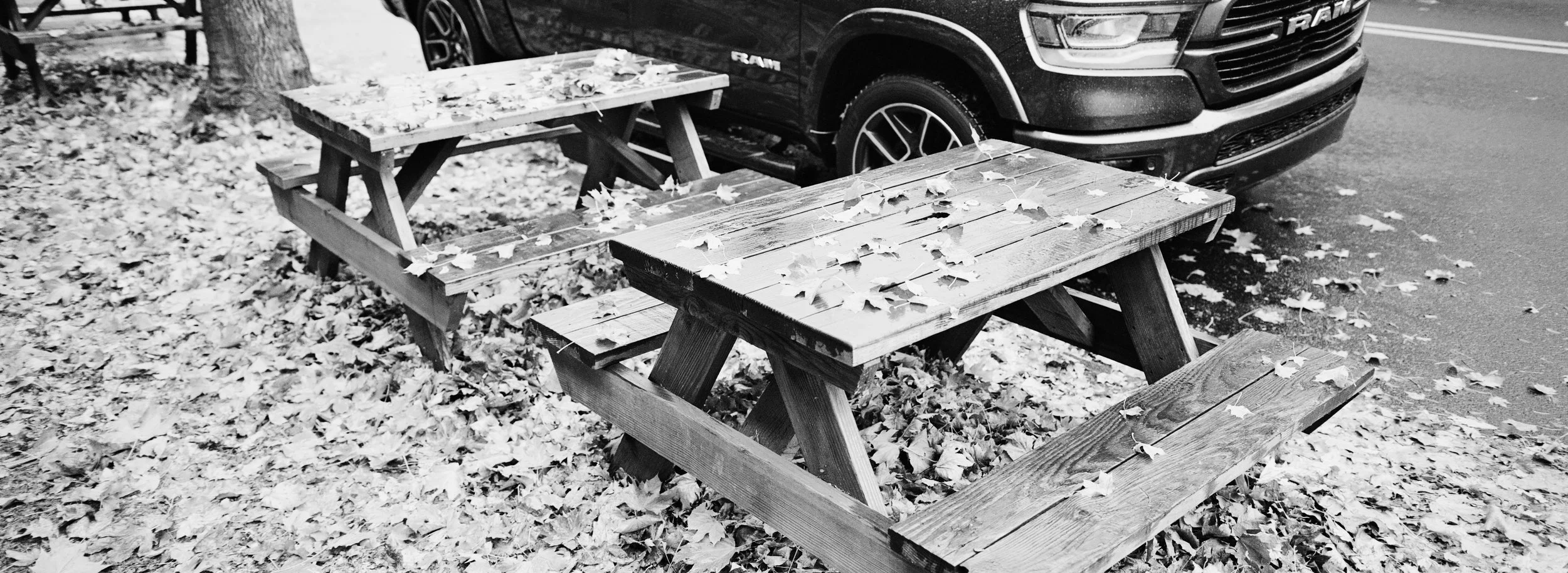 Hasselblad XPan 45mm vs 90mm Lens Comparison — The Codex