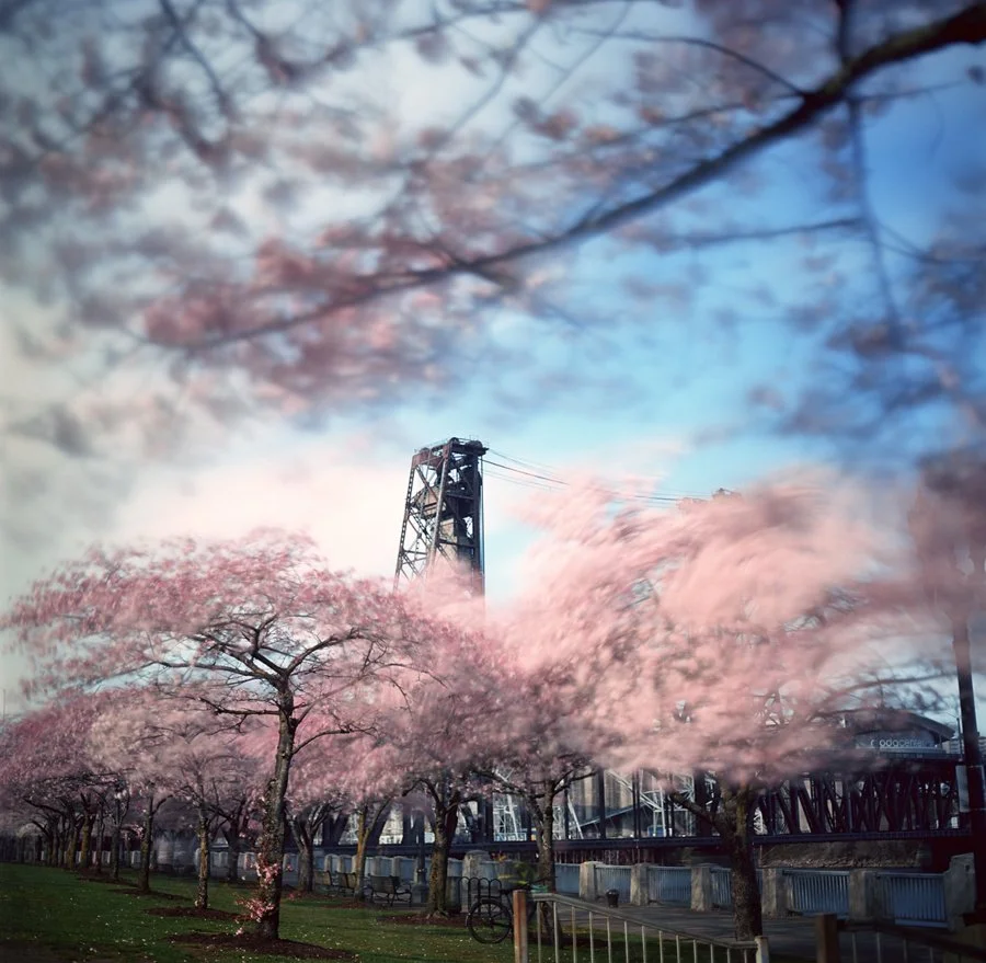 Film Friday Kodak Ektar 100 Film Review with Sample Photos — The Codex