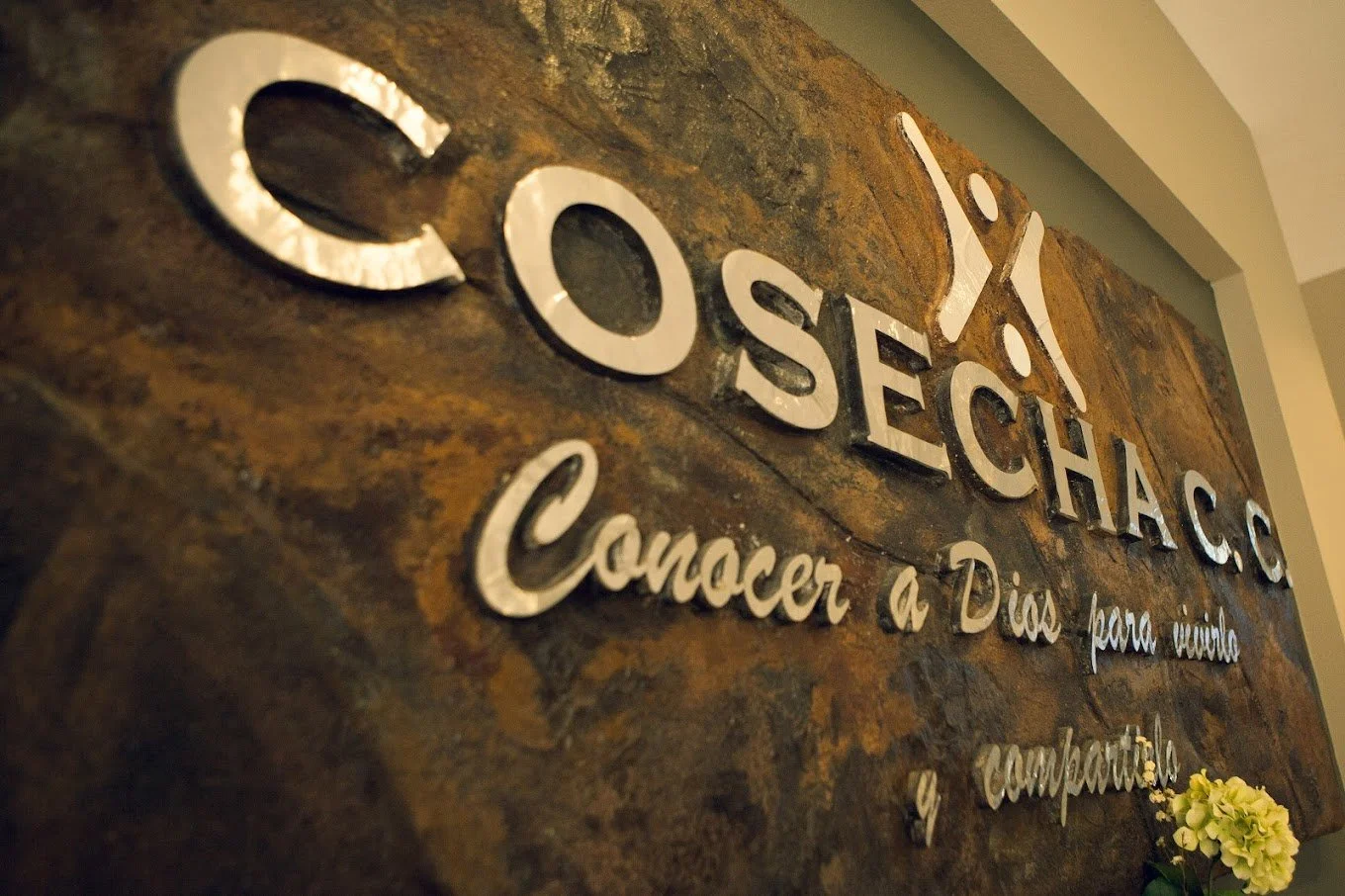 Harvest Cosecha — TR Design Group, Architecture