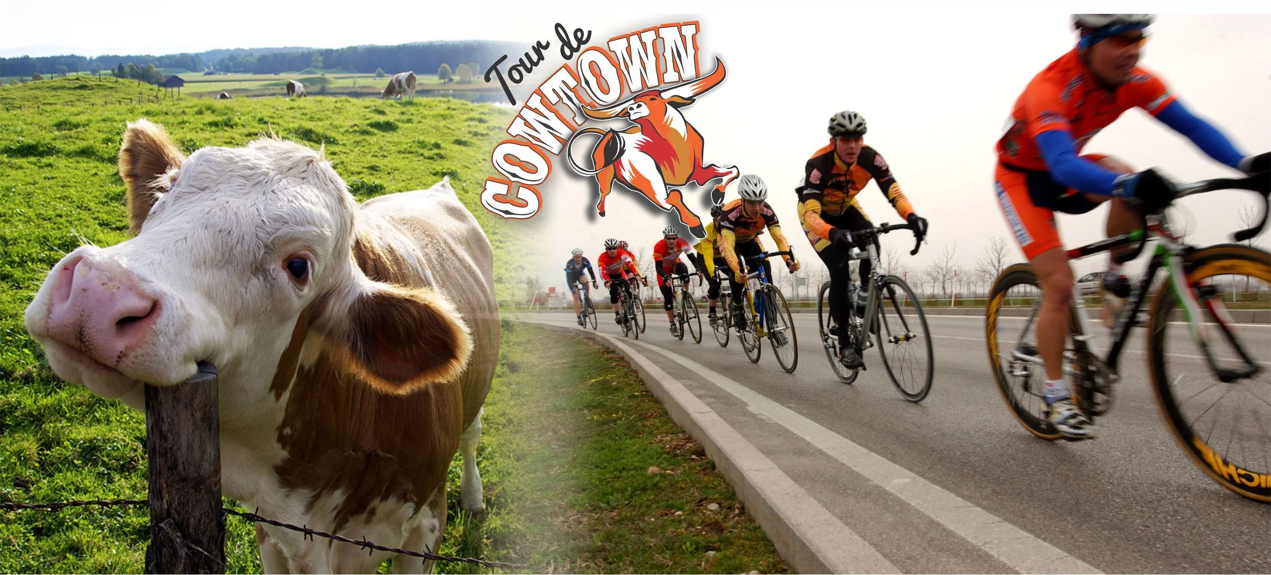 Tour de Cowtown