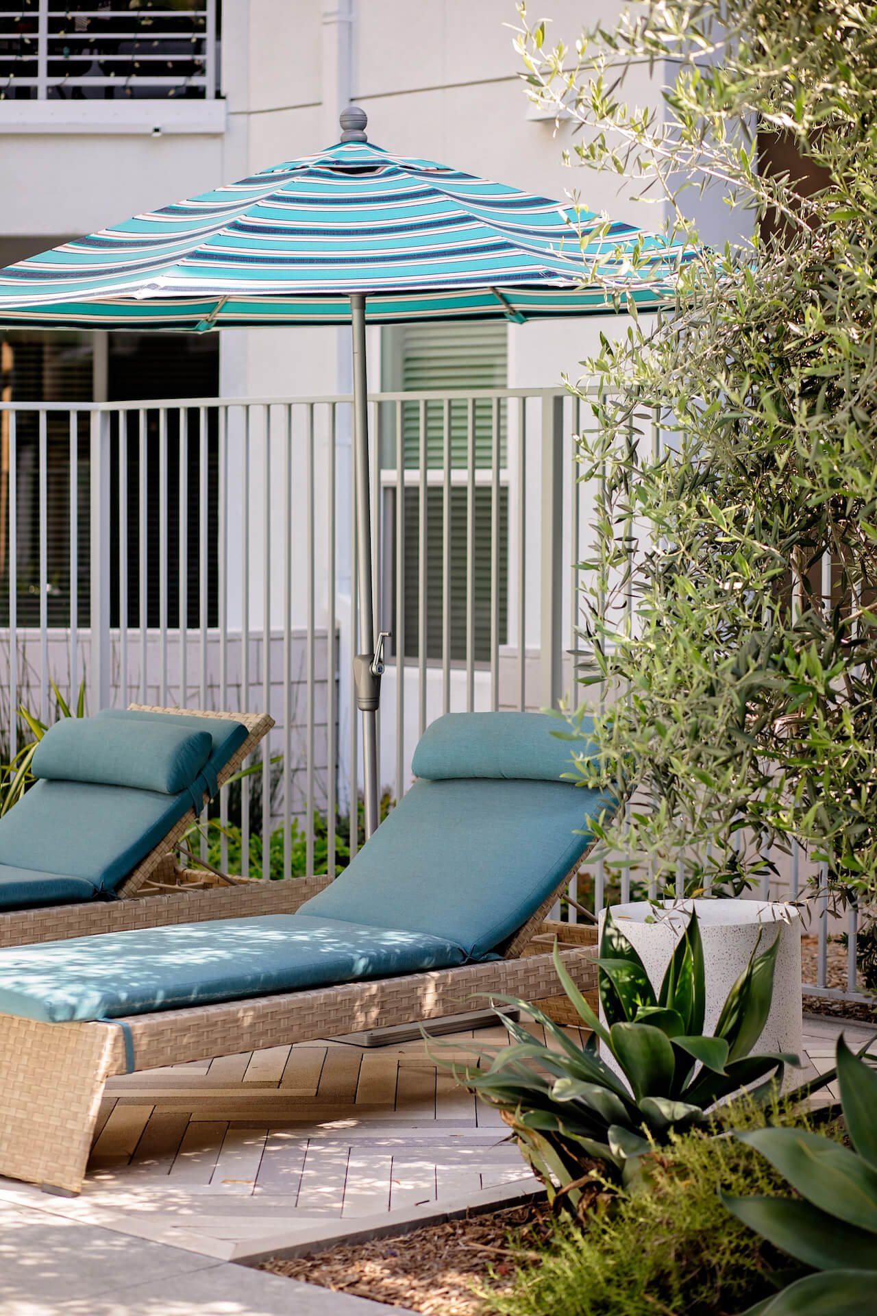 Embark — Vida Design