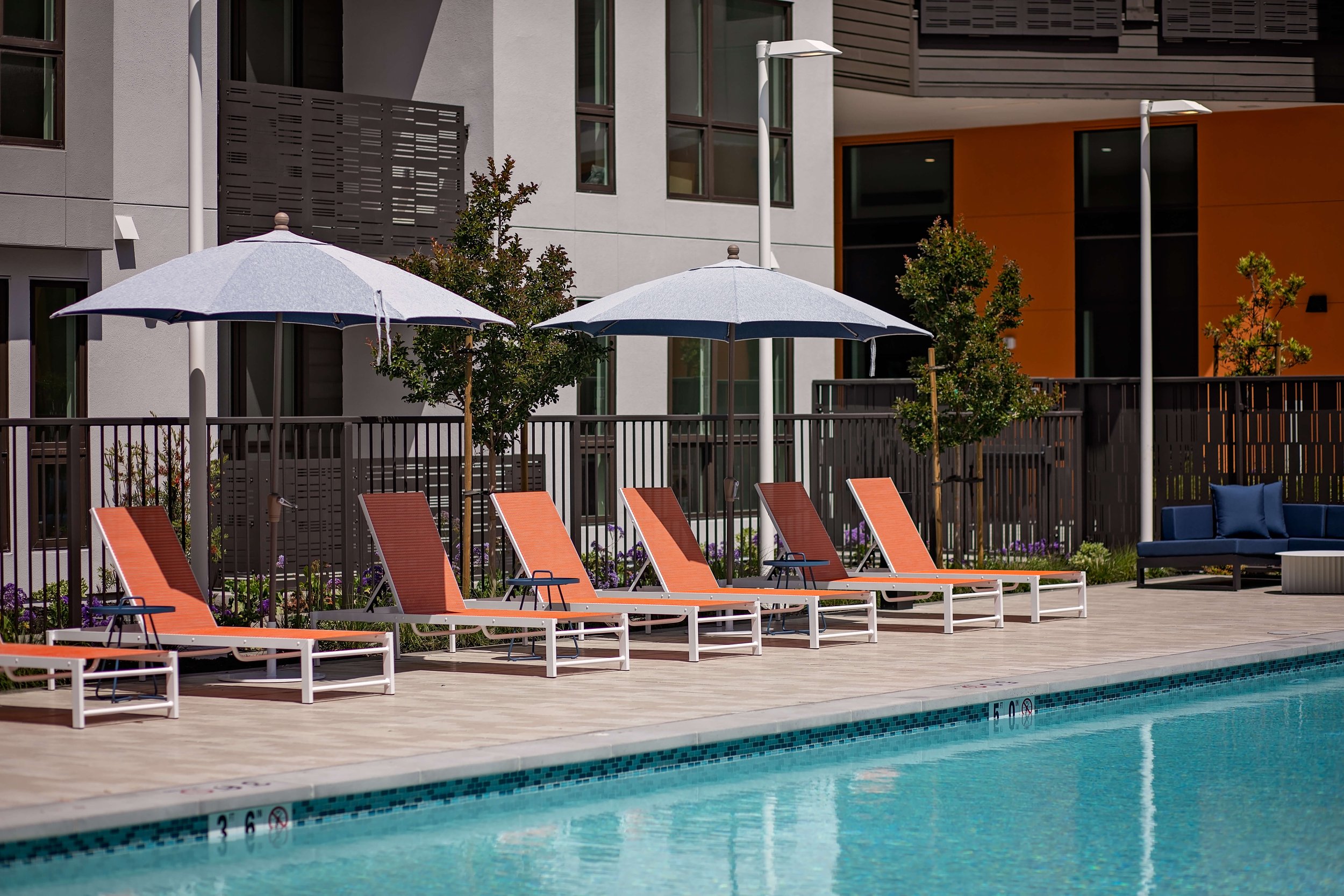 Launch — Vida Design