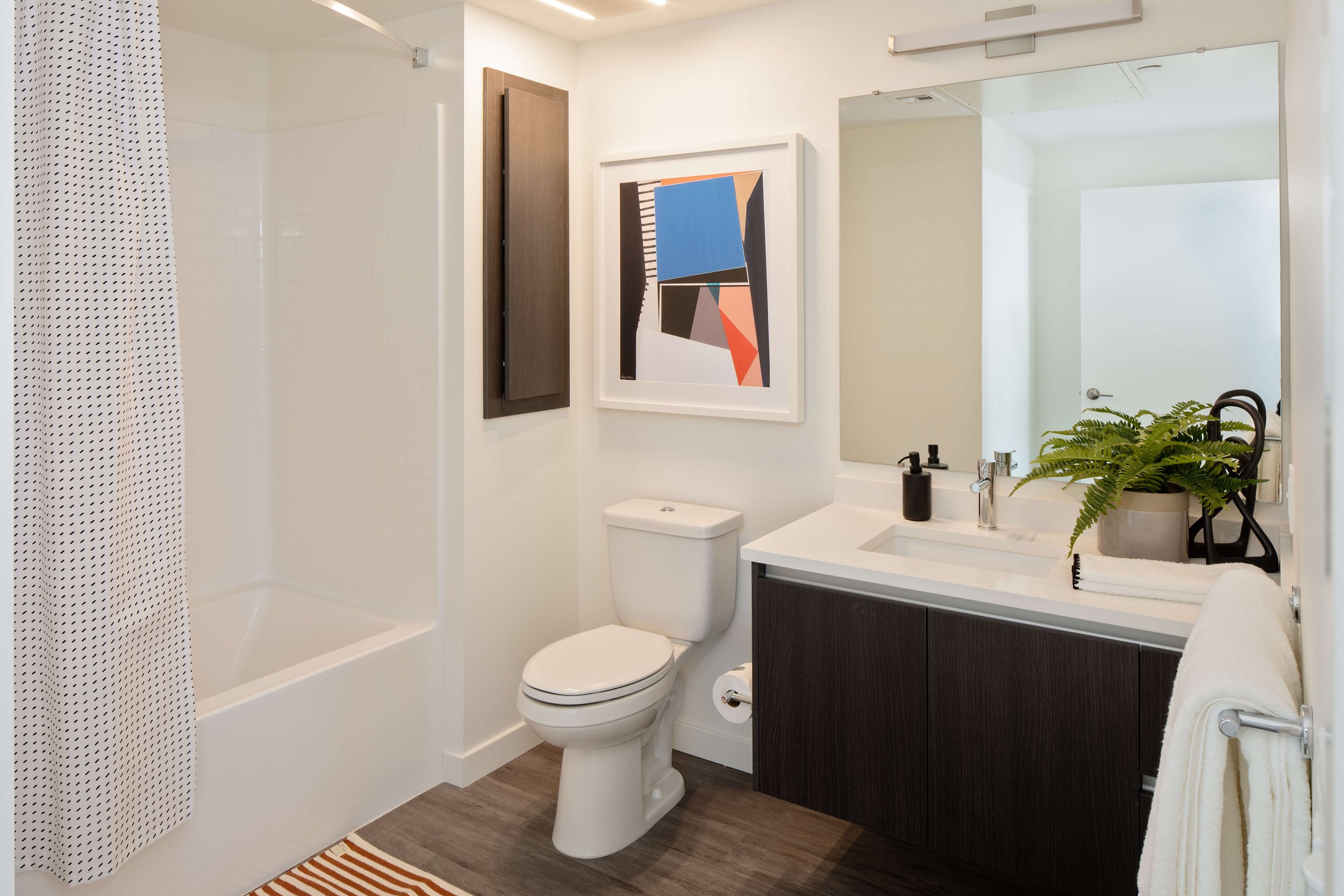 Launch — Vida Design