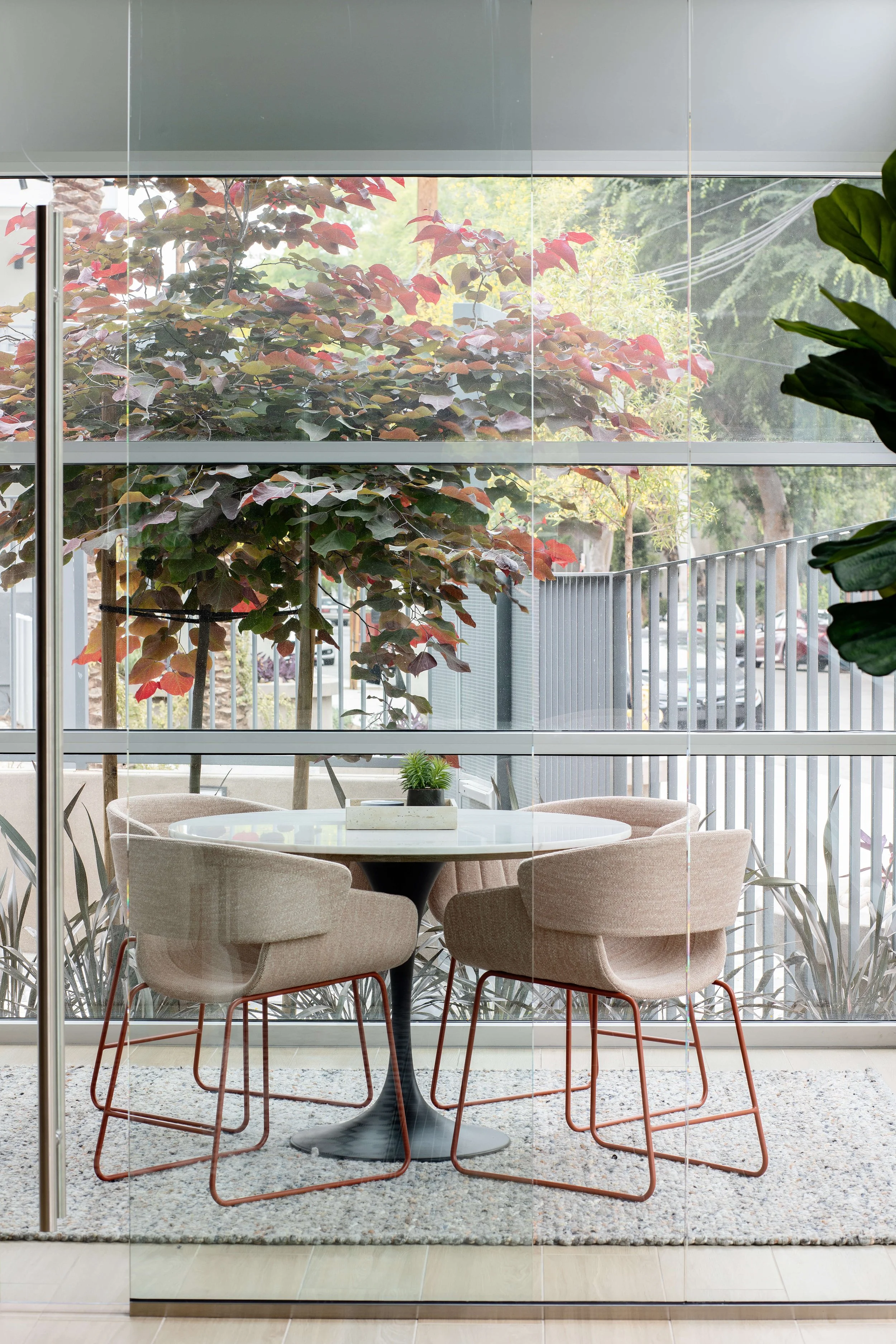 Chroma — Vida Design