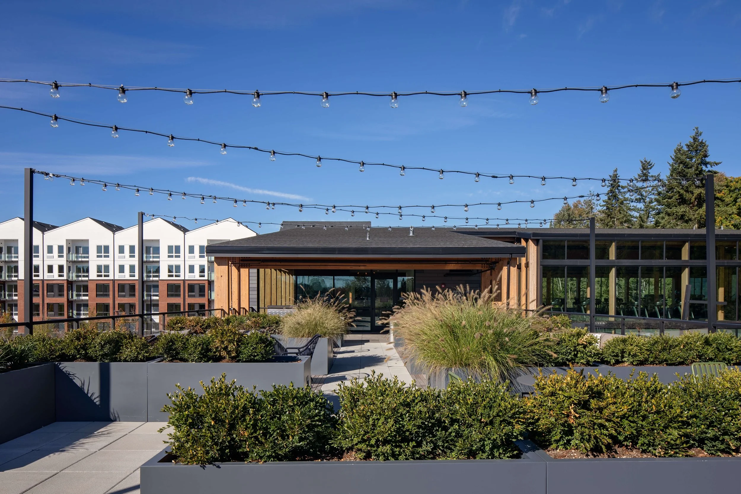 Bothell — Vida Design