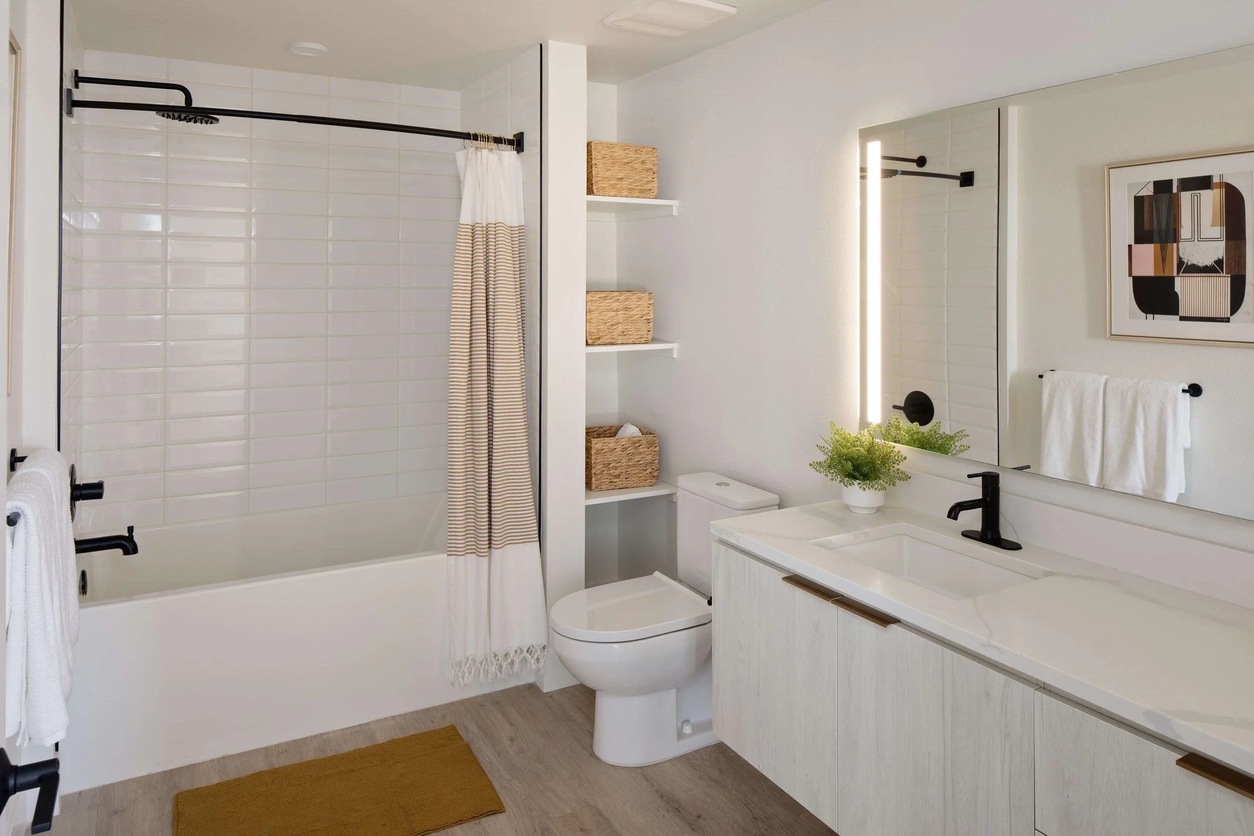 Aster — Vida Design