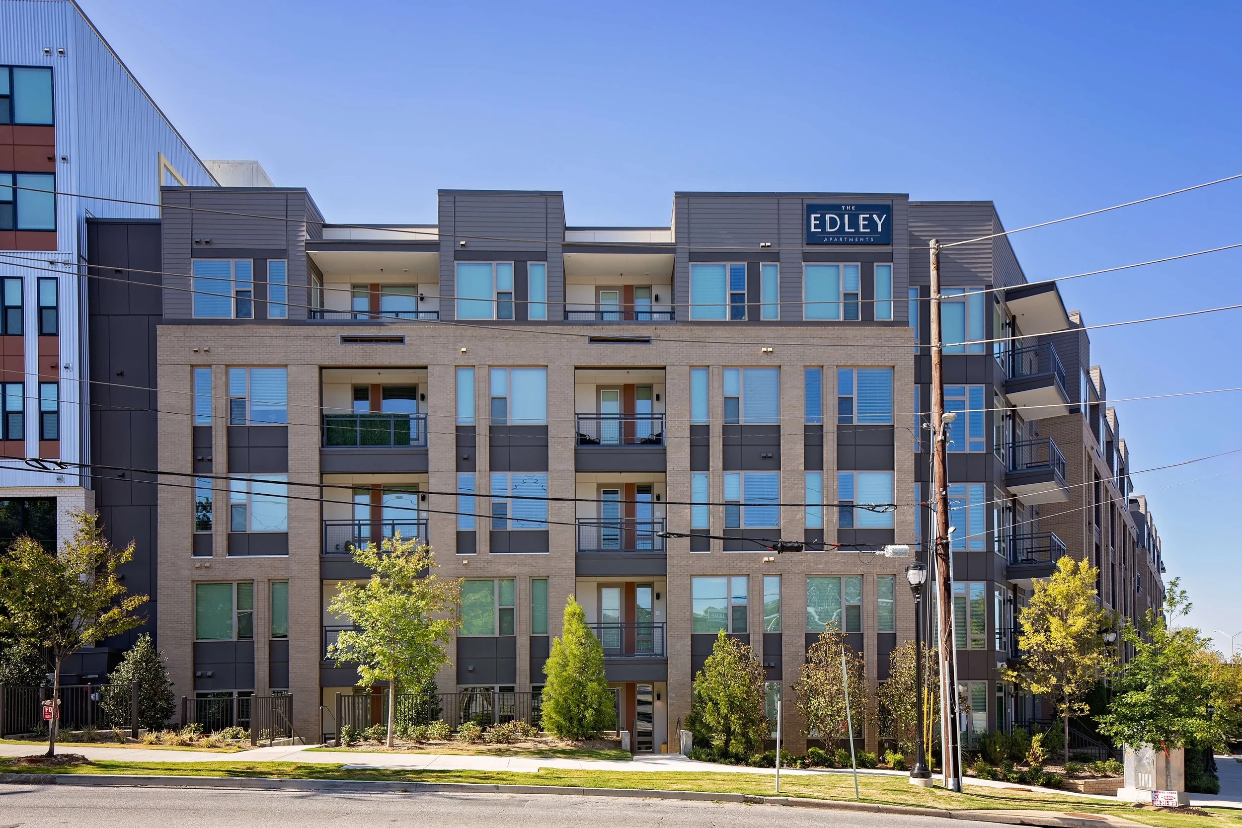 The Edley — Vida Design