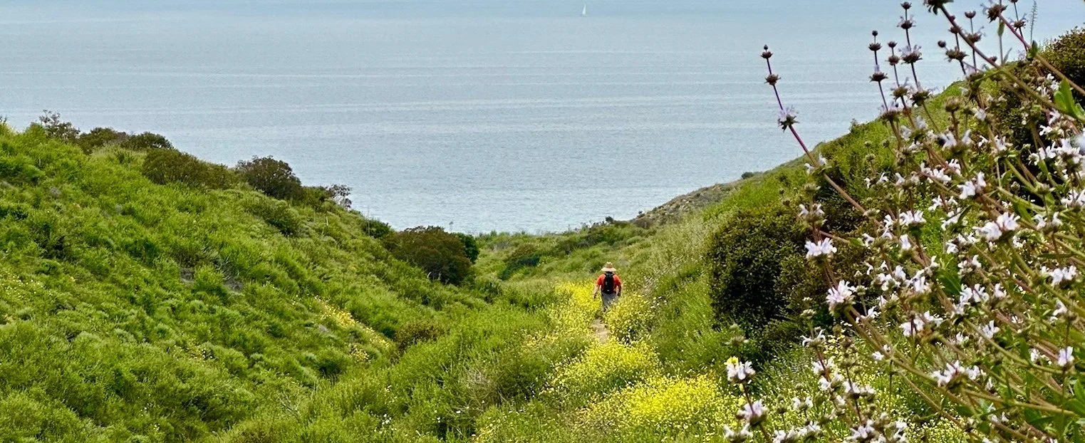 The Ashram | California Wellness Retreats | International Retreats