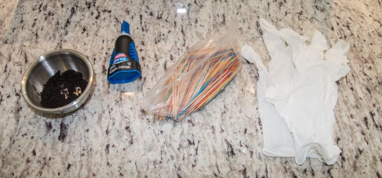 Easy Planted Betta Tank — Florida Aquatic Nurseries