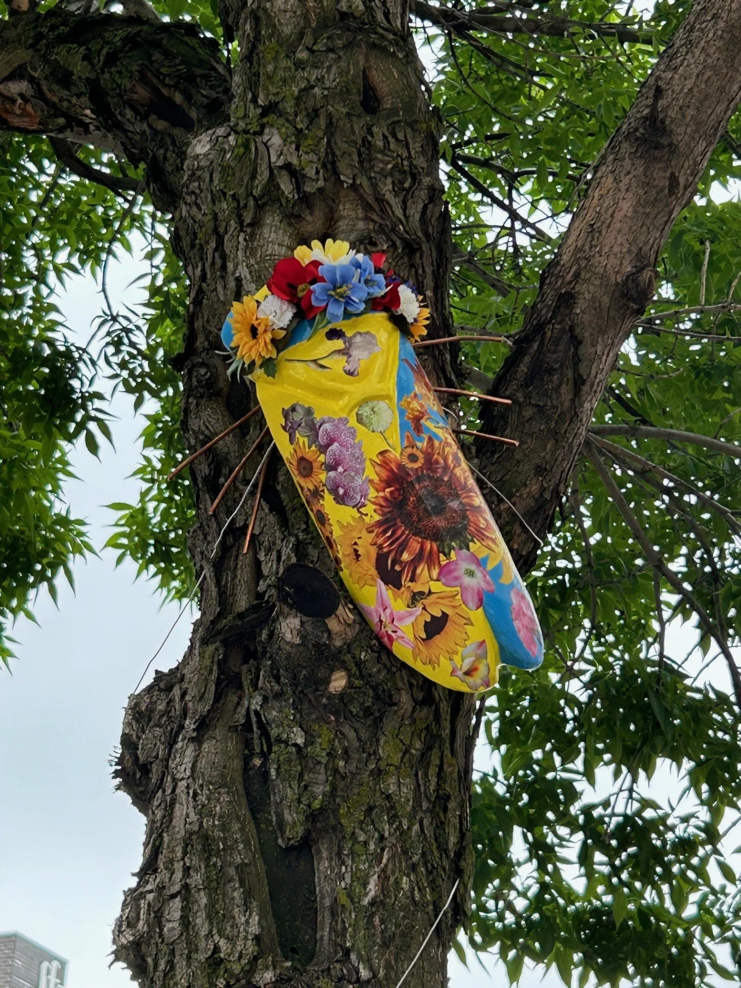 Cicada Project — UIMA