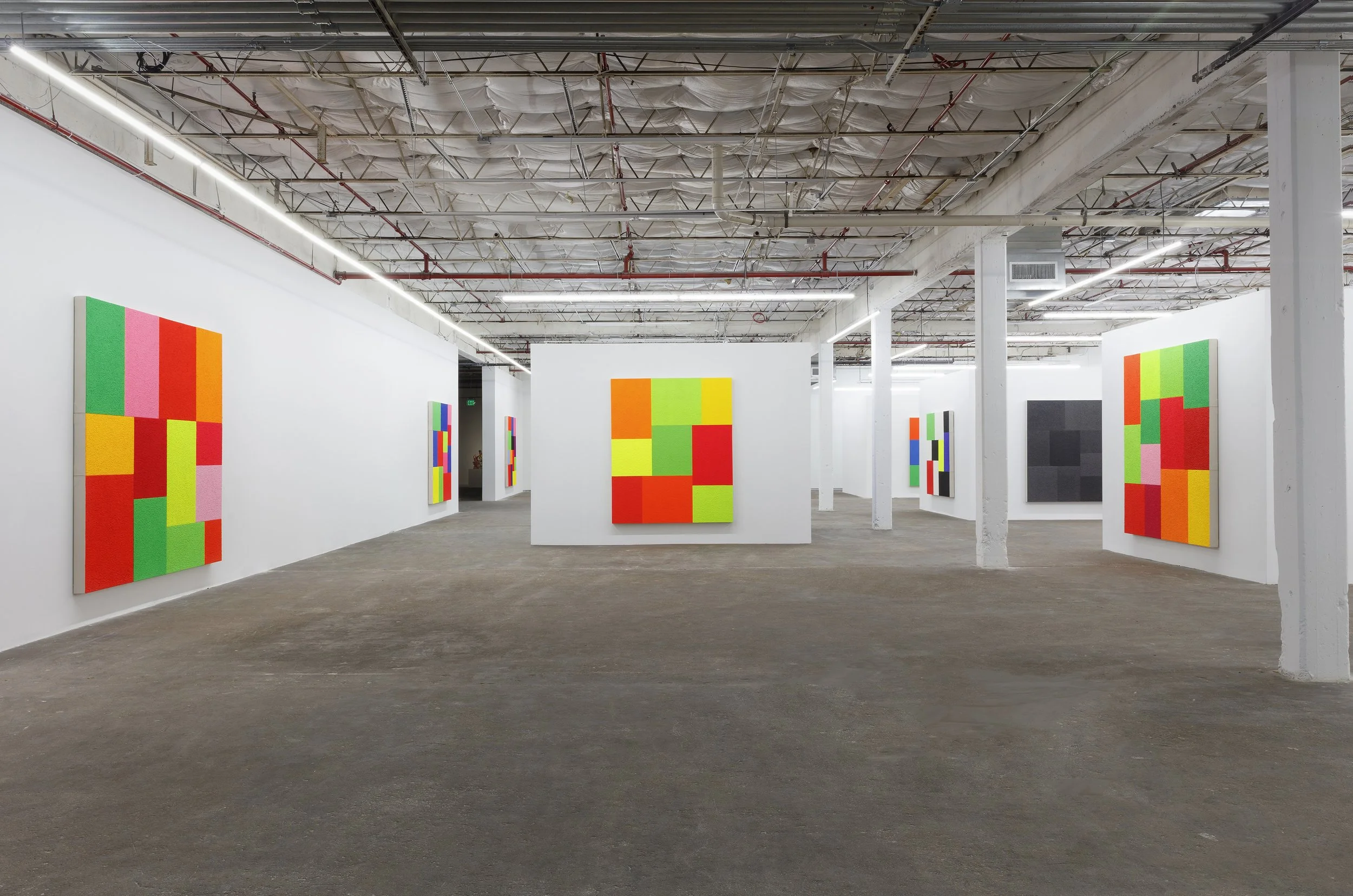 INSTALLATIONS — PETER HALLEY