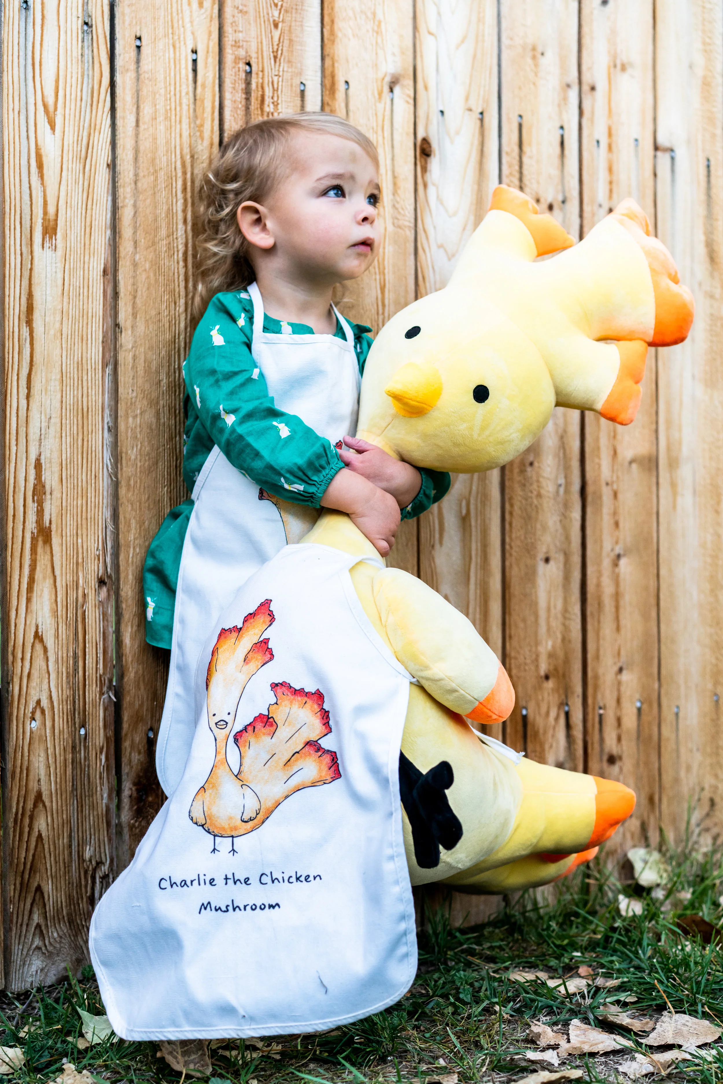 For Sale — The 9 Lives of Charlie the Chicken Mushroom