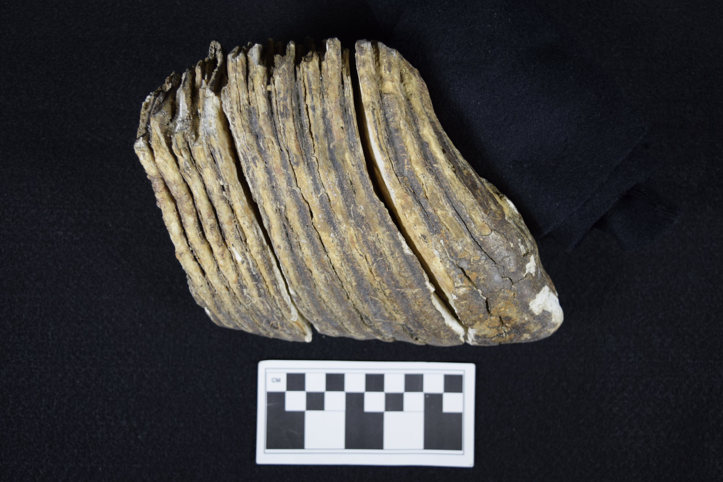 Sauk County Historical Society