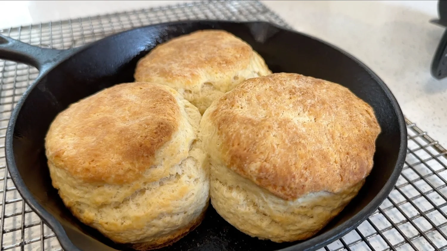 Best Biscuit for a Biscuit Sandwich — Lanyap Cookery