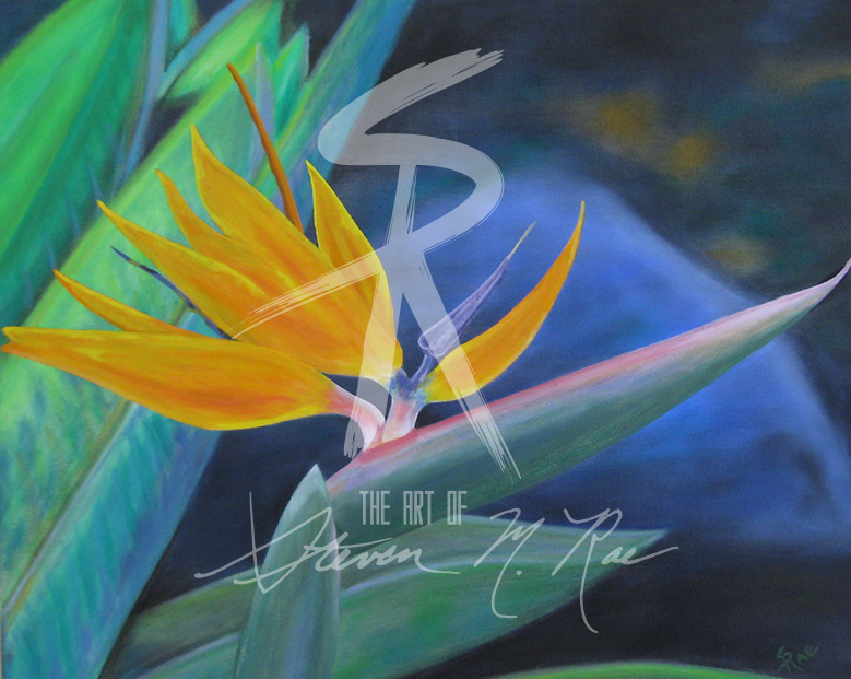 THE ART OF STEVEN M. RAE