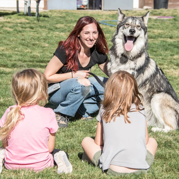 Volunteer — Apex Protection Project