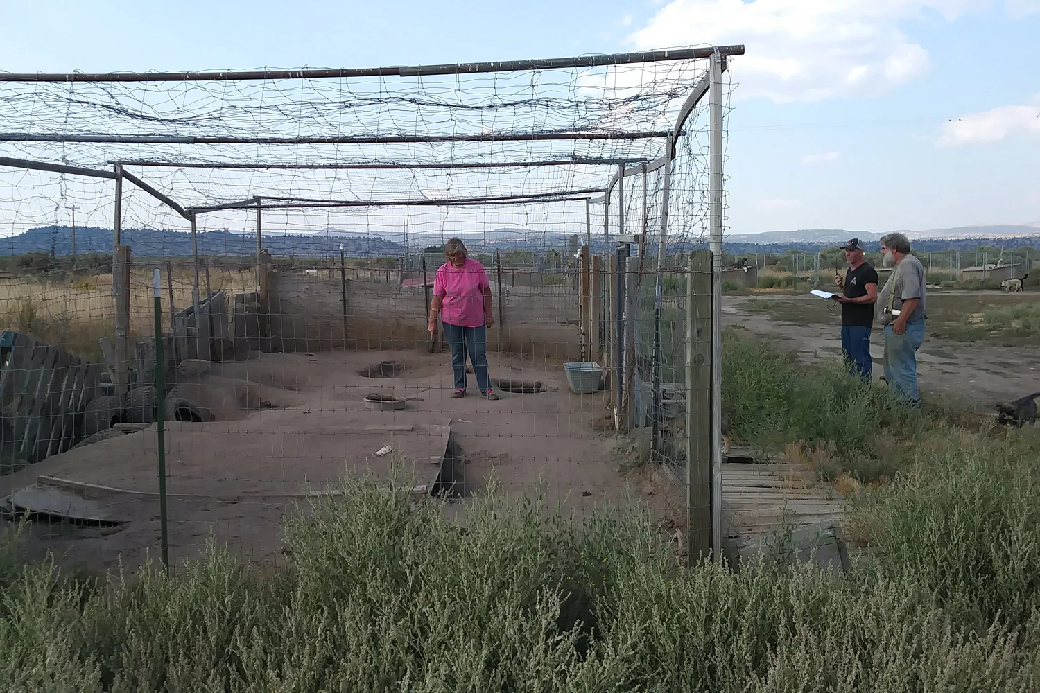 High Desert Wolves Rescue — Apex Protection Project