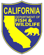 Apex Protection Project