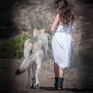 An Introduction — Apex Protection Project