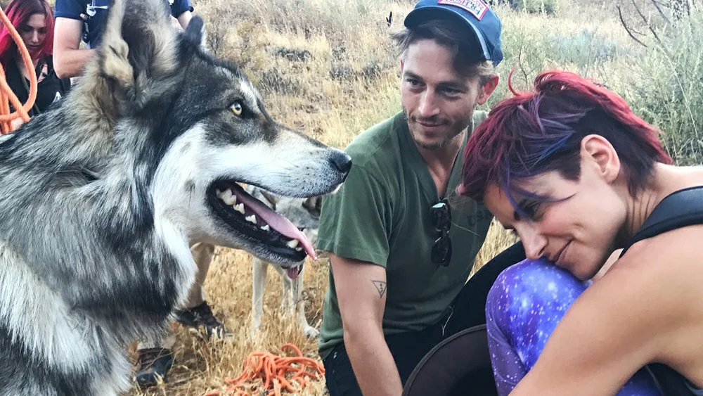 Meet the Pack — Apex Protection Project