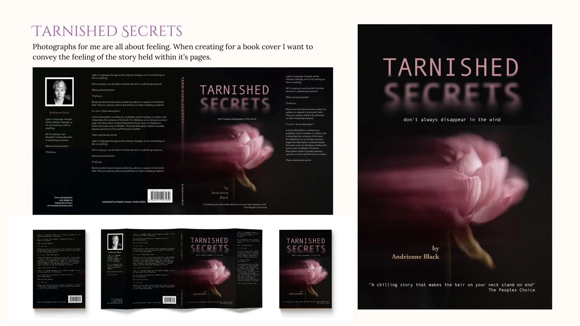 Book Cover Designs — Cassandra Oleary