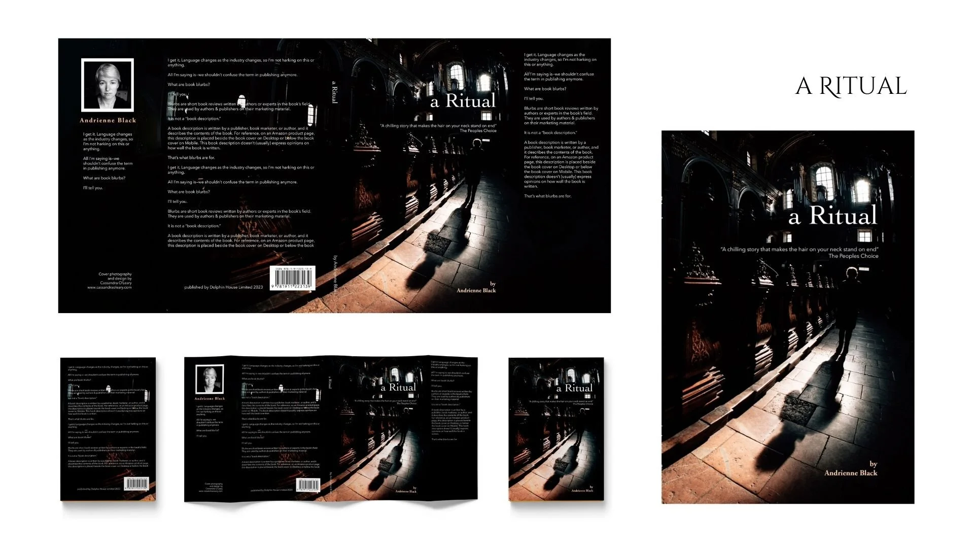 Book Cover Designs — Cassandra Oleary