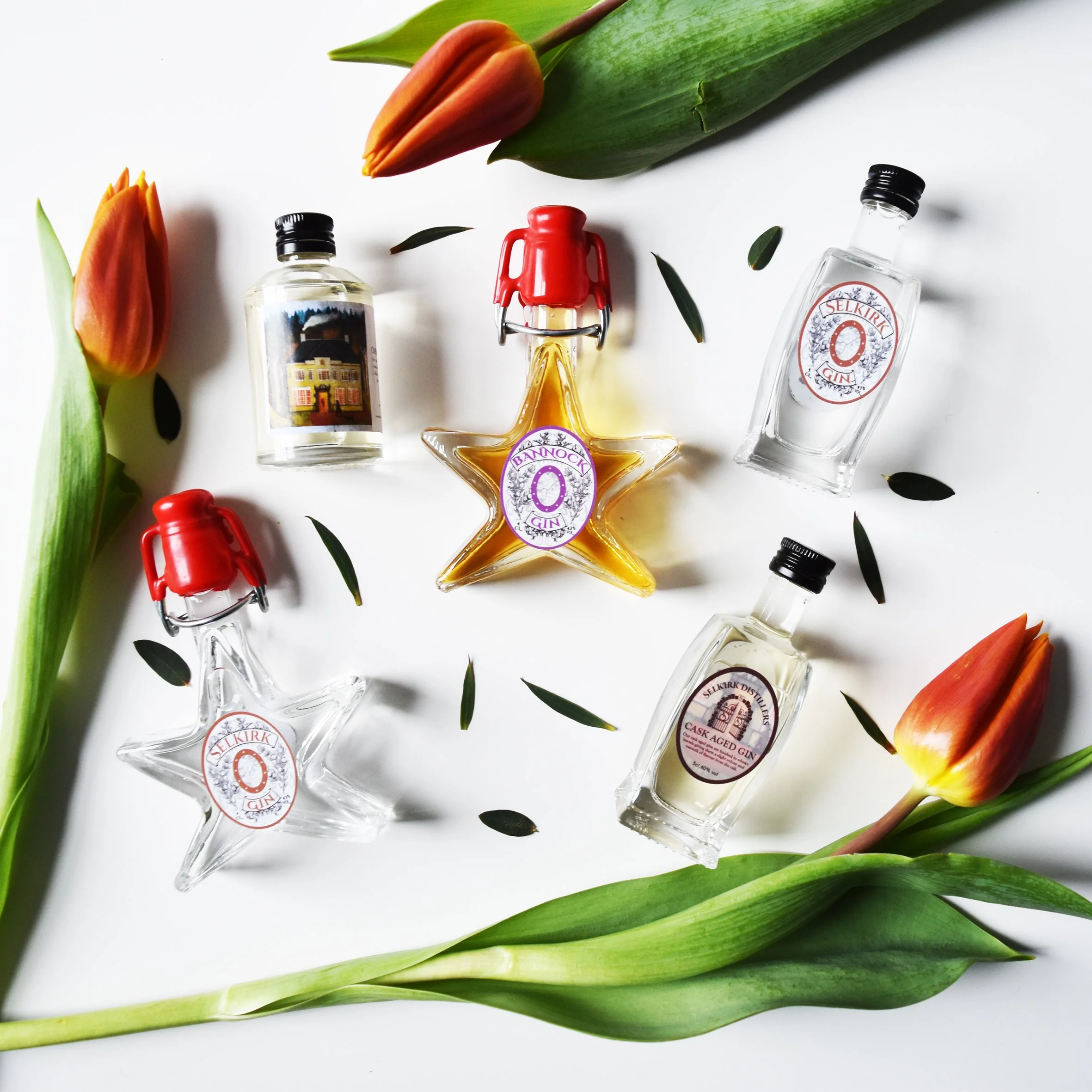 Shop Scottish Gin Online — Selkirk Distillers Ltd