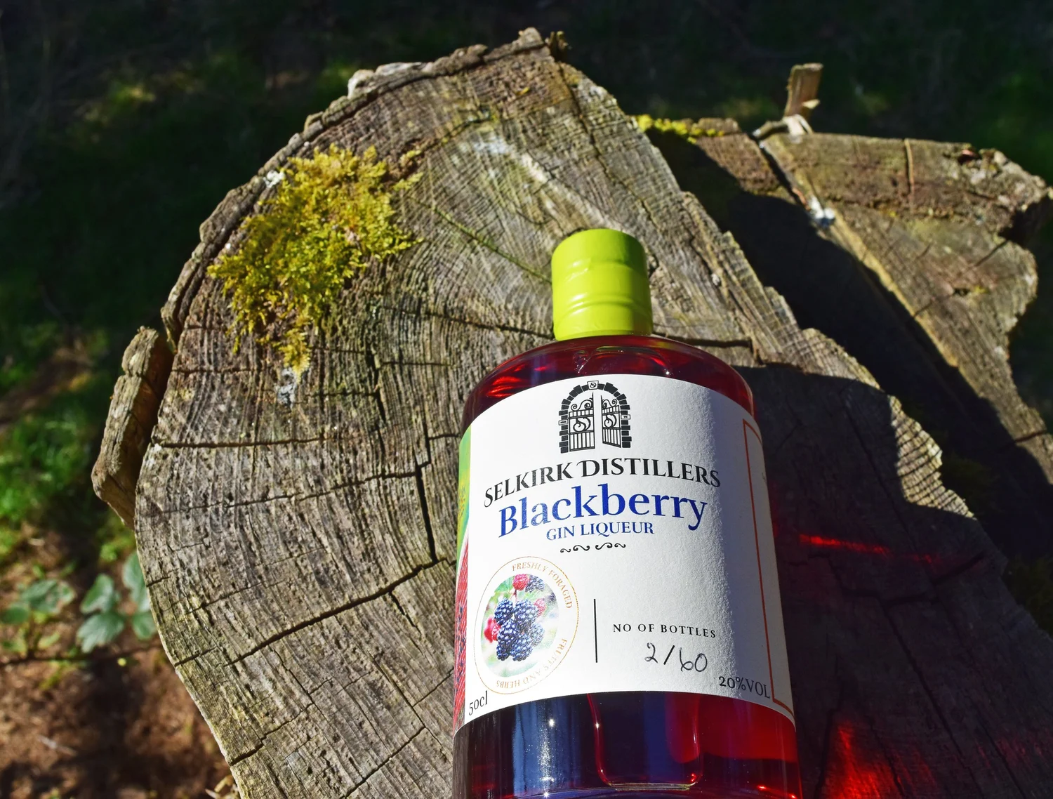 Selkirk Distillers - Scottish Gin - Premium Spirits