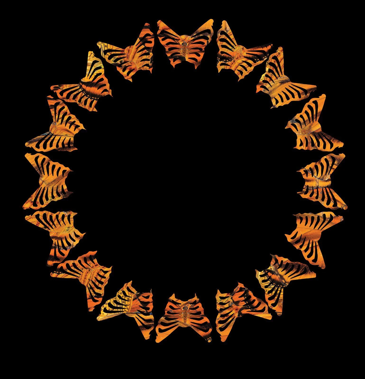 EVENTS — moab center camp