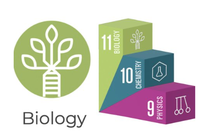 Patterns Biology - Unit 3: Cells to Organisms — Portland Metro STEM ...