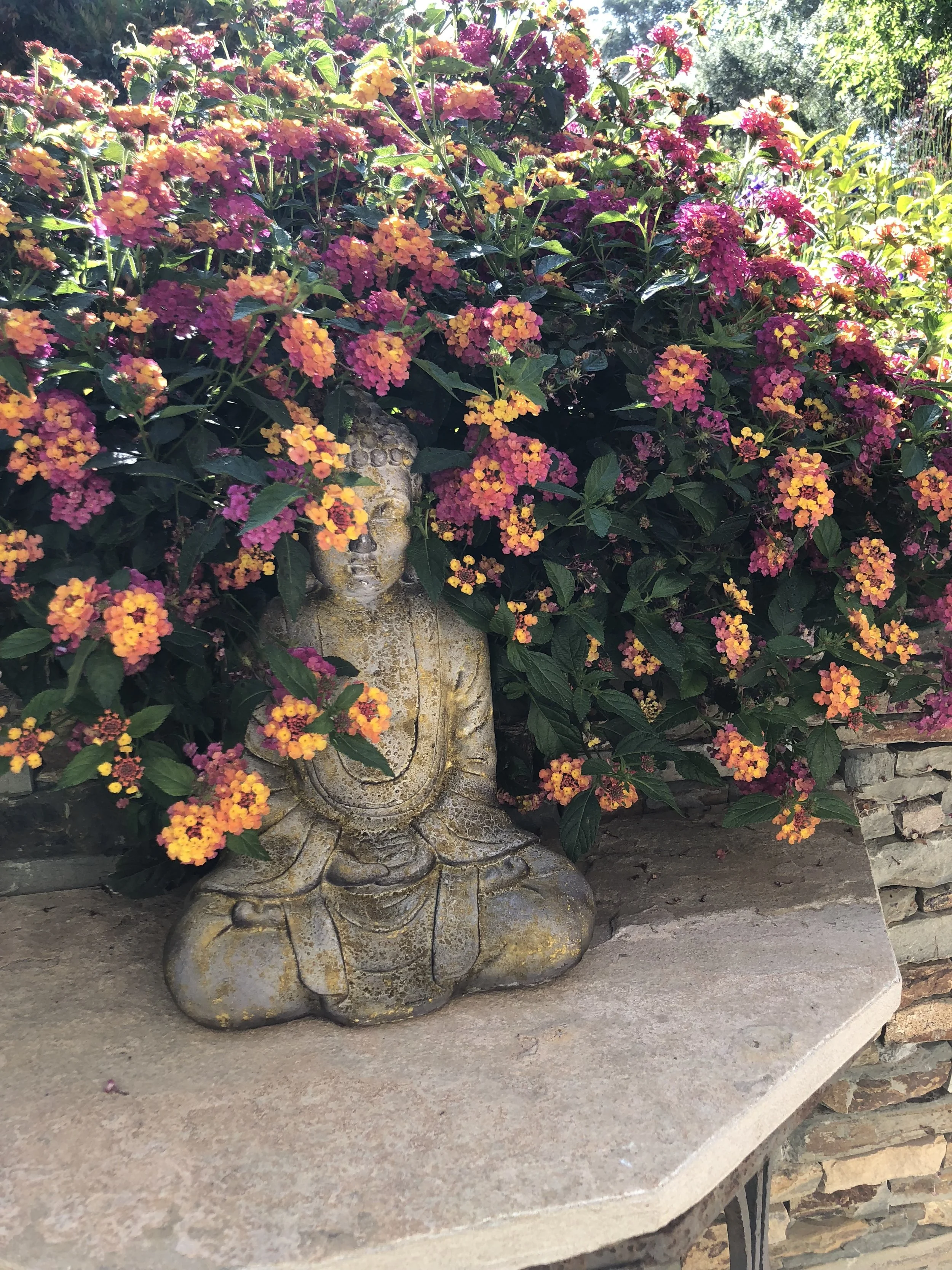 Kimberly Wick Therapy