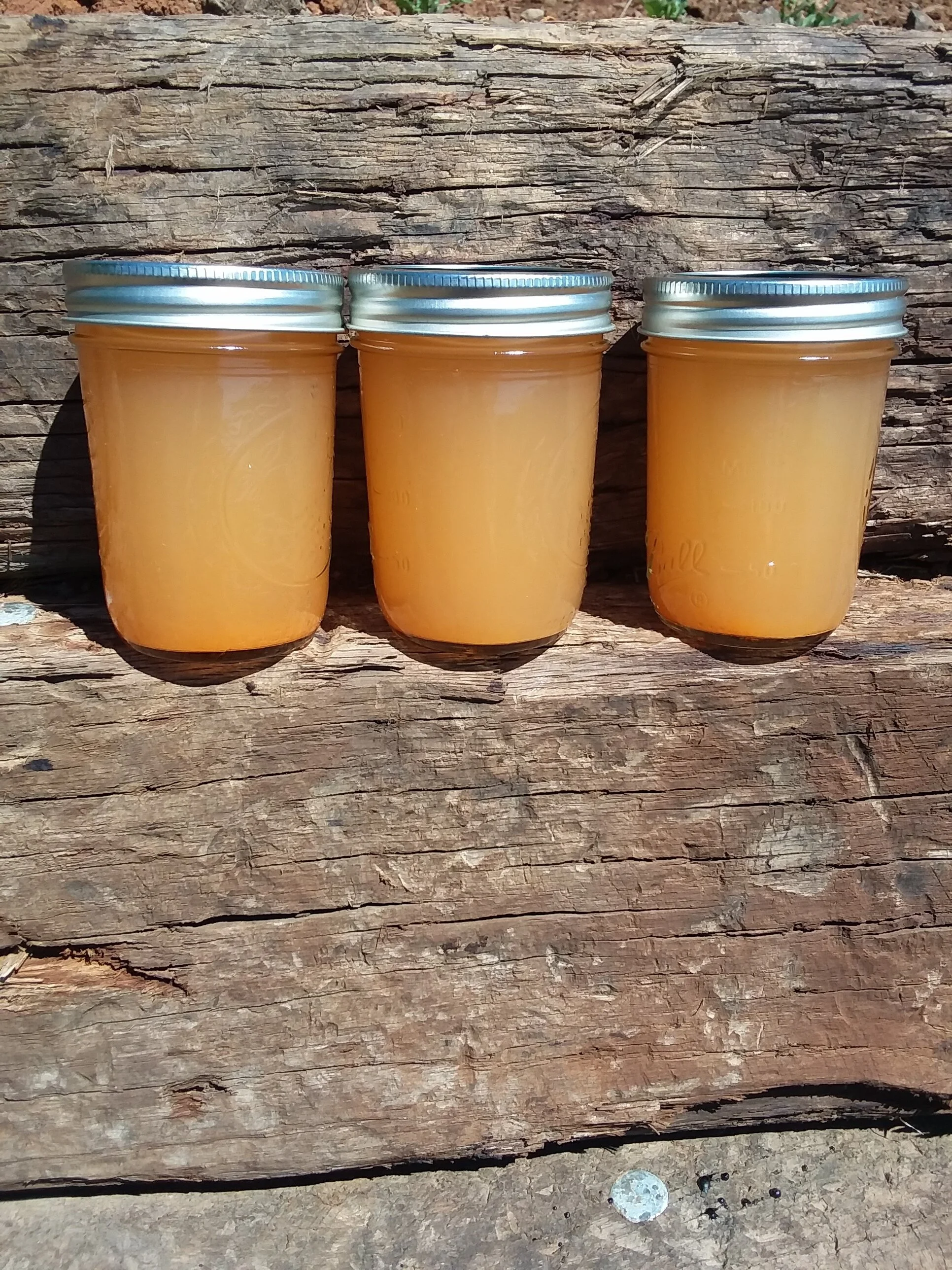 Farm Fresh — Sister Moon Gardens