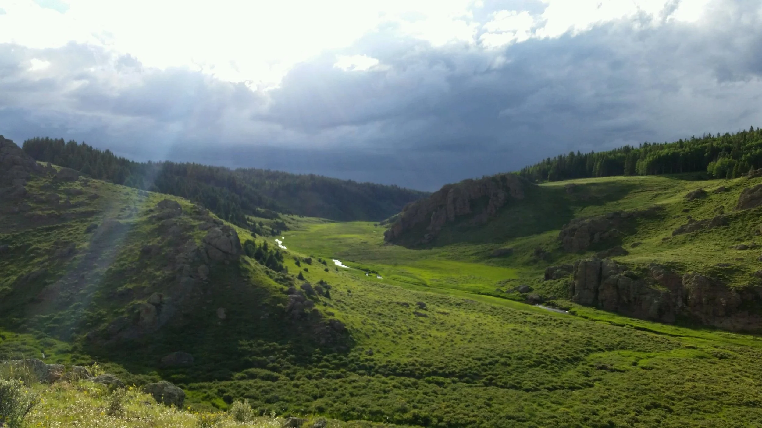 Chama Peak Land Alliance