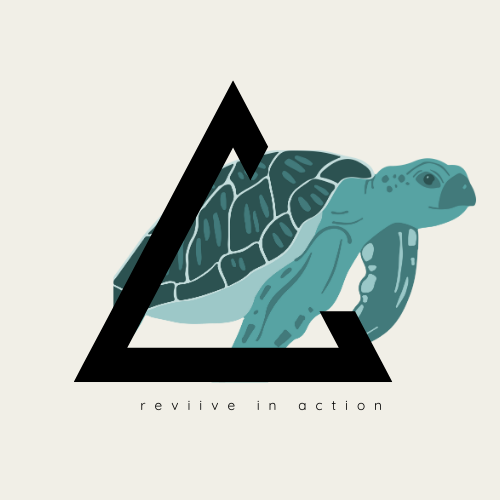 reviive therapy services