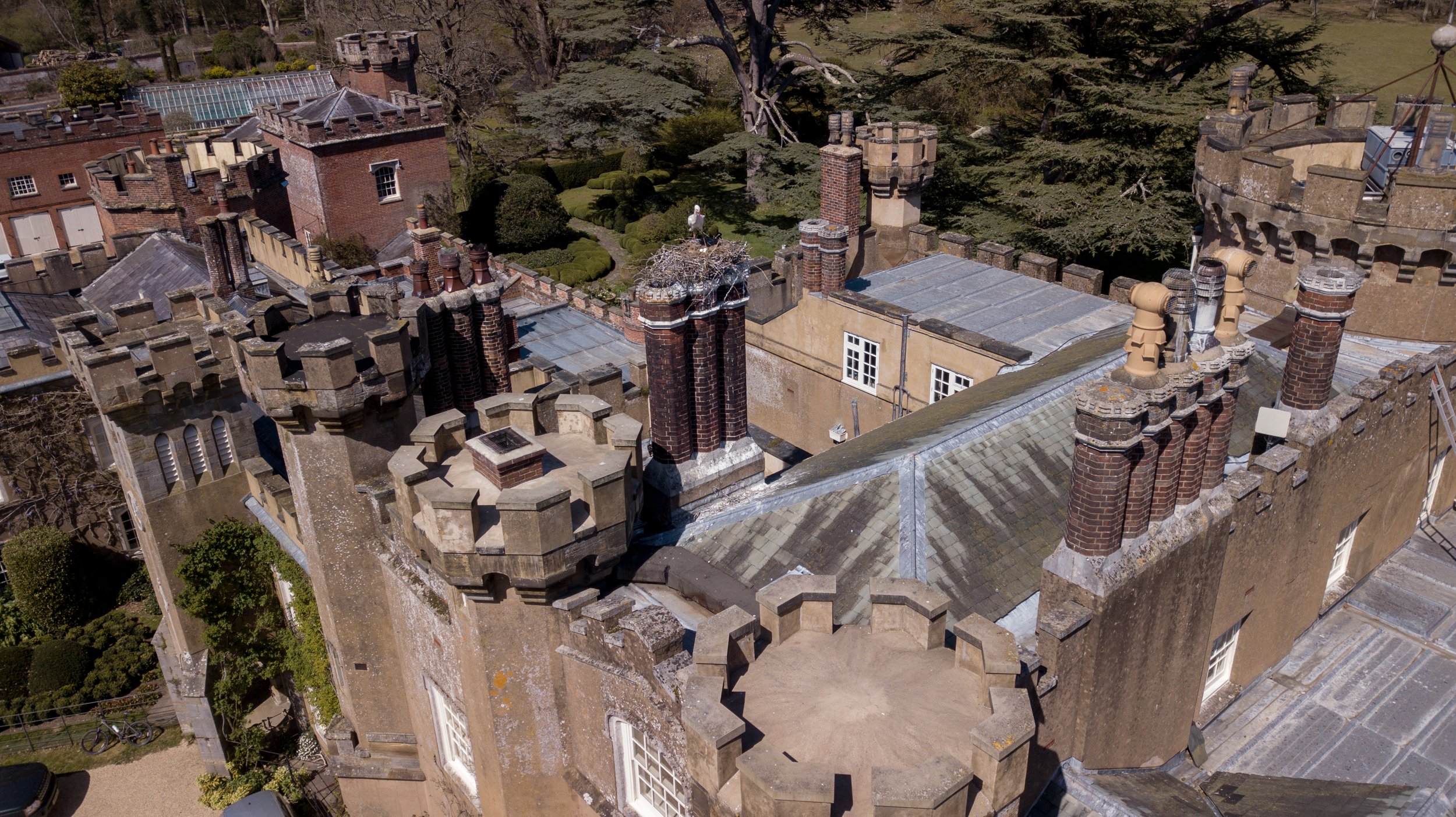 Our Storks — White Stork Project